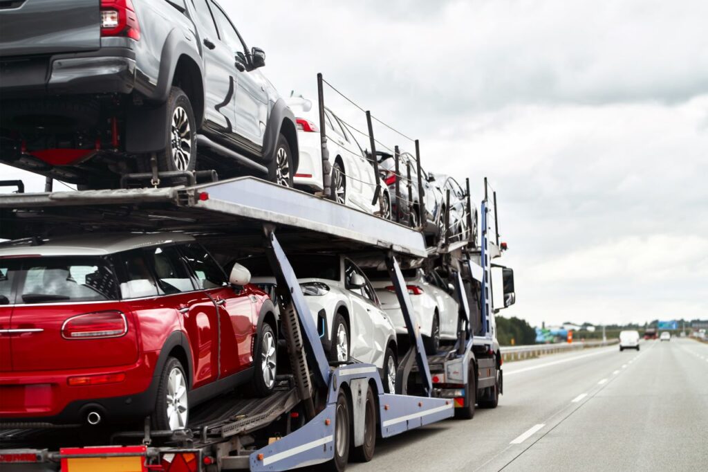 Motor Vehicle Import Partnership — TMT Logistics